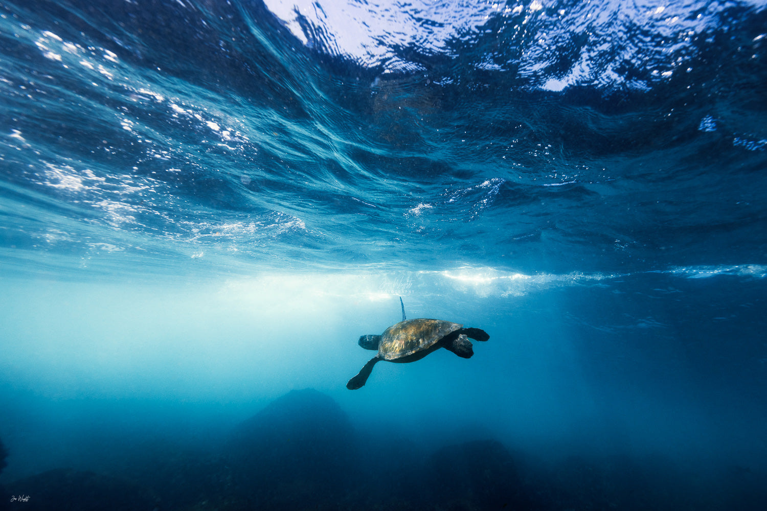 Turtle Cloud | Fine Art Prints – Jon Wright Photography - Photographic ...